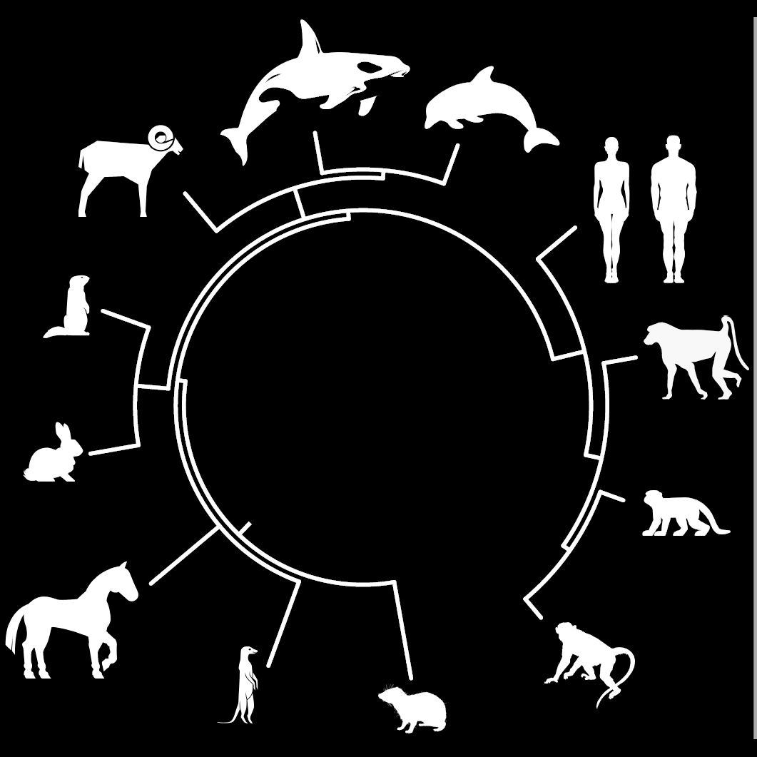 asan-logo-inverted | Animal Models for the Social Dimensions of Health ...